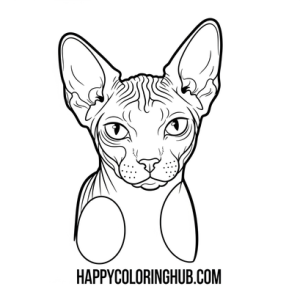 Sphynx cat unique coloring sheet – Happy Coloring Hub – Free Printable ...